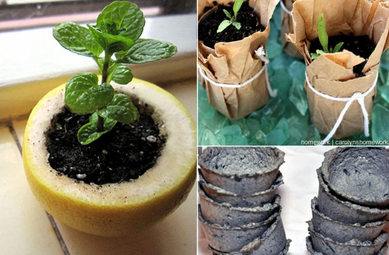 09 Perfect DIY Seed Starter | DIY seed starter pots - Naturebring