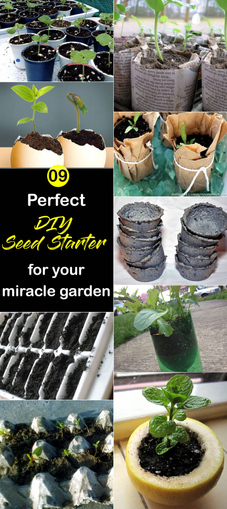 09 Perfect DIY Seed Starter | DIY seed starter pots - Naturebring